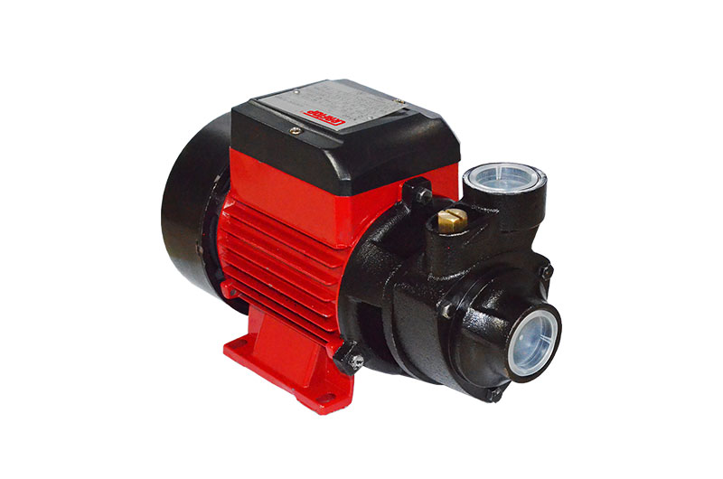 Electric Water Pump EWP-80: Perfect Functionality for Domestic and ...